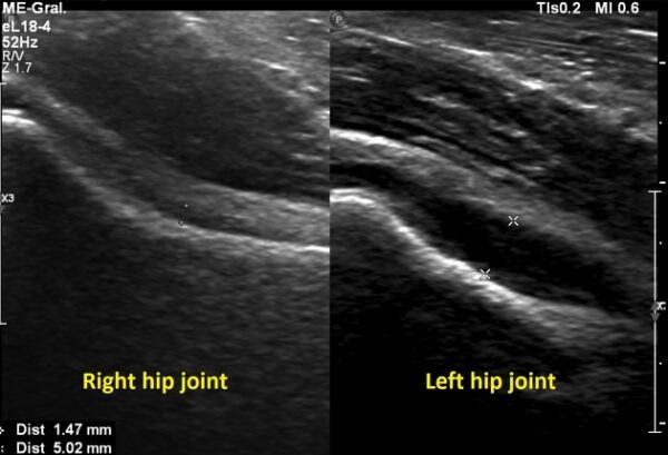Ultrasound – ScanLab Center